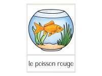 French Flash Cards: Les Animaux Domestiques / Pets by Teach Simple