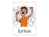 French Flash Cards: Les Sentiments / Feelings by Teach Simple