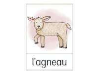 French Flash Cards: Printemps / Spring by Teach Simple