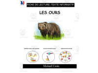 French: Reading comprehension worksheets: Les ours by Teach Simple