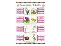 German Clip Cards: Flowers Vocabulary by Teach Simple