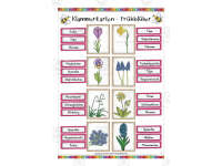 German: Early Bloomers Clip Cards by Teach Simple