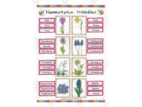 German: Early Bloomers Clip Cards by Teach Simple
