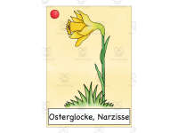 German Flash Cards: Flowers by Teach Simple