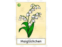 German Flash Cards: Flowers by Teach Simple