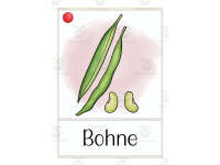 German Flash Cards: Fruit and Veggies by Teach Simple