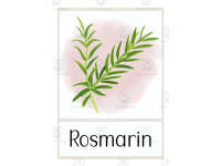 German Flash Cards: Herbs by Teach Simple