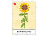 German Flash Cards: In the School Garden by Teach Simple