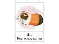 German Flash Cards: Pets by Teach Simple