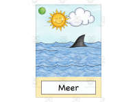 German Flash Cards: Pirate Life by Teach Simple