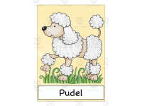 German Flash Cards: Types of Dogs by Teach Simple