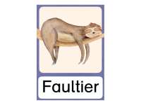 German Picture Cards: Letter F by Teach Simple