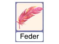 German Picture Cards: Letter F by Teach Simple