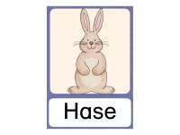 German Picture Cards: Letter H by Teach Simple