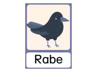 German Picture Cards: Letter R by Teach Simple