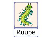 German Picture Cards: Letter R by Teach Simple