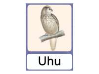 German Picture Cards: Letter U by Teach Simple
