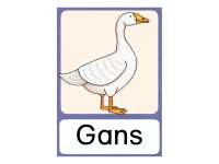 German Picture Words: Letter G by Teach Simple