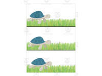 German: Turtle Themed Class Material | Blackboard Cards & Blank ...