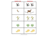 Grammar Flashcards: Build Plurals by Teach Simple