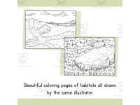 Grassland Habitat Coloring Pages | Line Art Templates | Biome Art ...