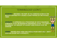 Health 4 Life PowerPoint Series: Muscular Strength + Endurance by Teach ...