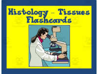 Histology Tissues Flashcards by Teach Simple
