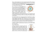 HIV and AIDS Reading Comprehension Article by Teach Simple