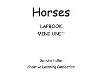 Horses Lapbook and Mini Unit by Teach Simple