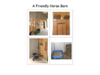 Horses Lapbook and Mini Unit by Teach Simple
