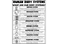 Human Body Systems Printable by Teach Simple
