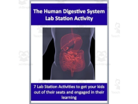 Human Digestive System – Lab Station Activity by Teach Simple