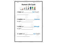 Human Life Cycle Worksheet by Teach Simple