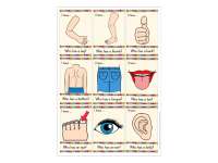 I have...Who Has...? Body Parts Edition by Teach Simple