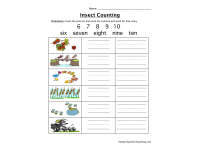 Insect Counting Numbers 6 - 10 Worksheet by Teach Simple