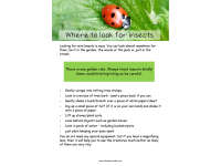 Insect Hunt Printable by Teach Simple
