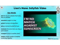 Jellyfish | Interactive Science Lesson | Micro-Learning Deck by Teach ...