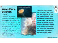 Jellyfish | Interactive Science Lesson | Micro-Learning Deck by Teach ...