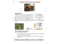 Making Food Using Fermentation - Digital Science Reading Article ...