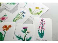 Meadow Wild Flower 12 Flashcard Set by Teach Simple