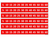 Multiplication Facts Writing | Strip Lines Set 5G by Teach Simple