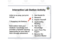 Muscular and Skeletal System – Lab Station Activity by Teach Simple
