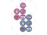 My 5 Senses Game by Teach Simple