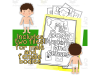 My Body Systems And Senses Lapbook by Teach Simple