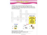 My First Crossword Puzzles: Volume 3 Activity Book by Teach Simple