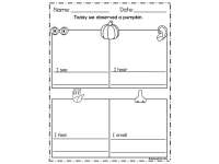 My Pumpkin Journal Booklet - The Study of Pumpkins by Teach Simple