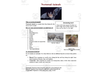 Nocturnal Animals - Science Reading Article - Grades 5-7 by Teach Simple