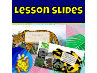 Nonfiction text features lesson by Teach Simple