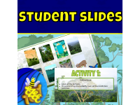 Nonfiction text features lesson by Teach Simple