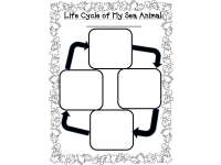 Ocean Animals | Ocean Animal Research Report by Teach Simple